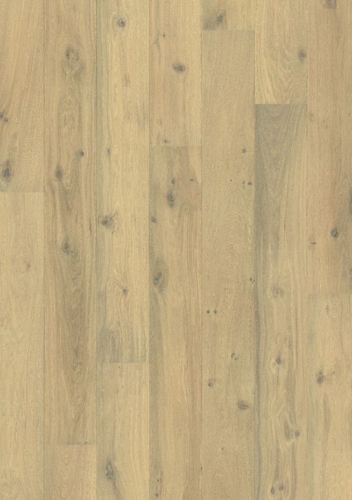 Champagne Oak - Pergo Malaysia